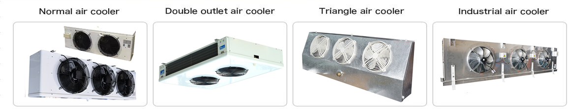 D-type Unit Cooler Professional Freezer Room,Cold Room Manufacturer
