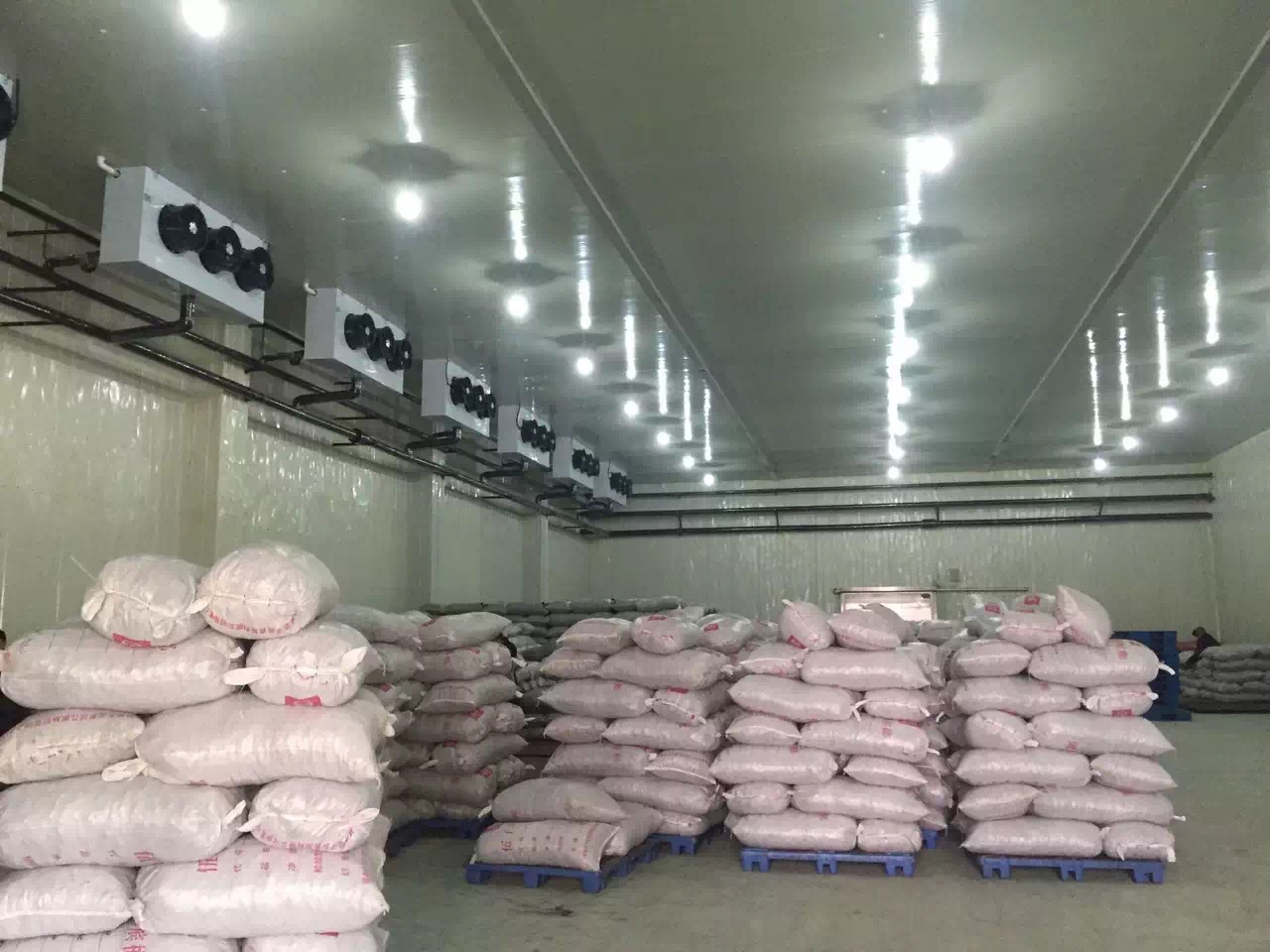 FOOD COLD STORAGE Professional Freezer Room,Cold Room Manufacturer