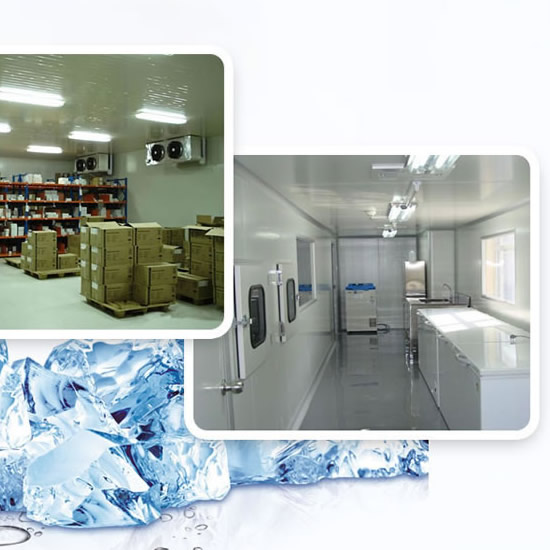 Medical Cold Storage - Professional Freezer Room,Cold Room Manufacturer