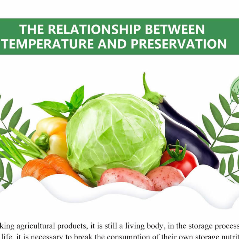 FRUIT AND VEGETABLE COLD ROOMS - Professional Freezer Room,Cold Room ...