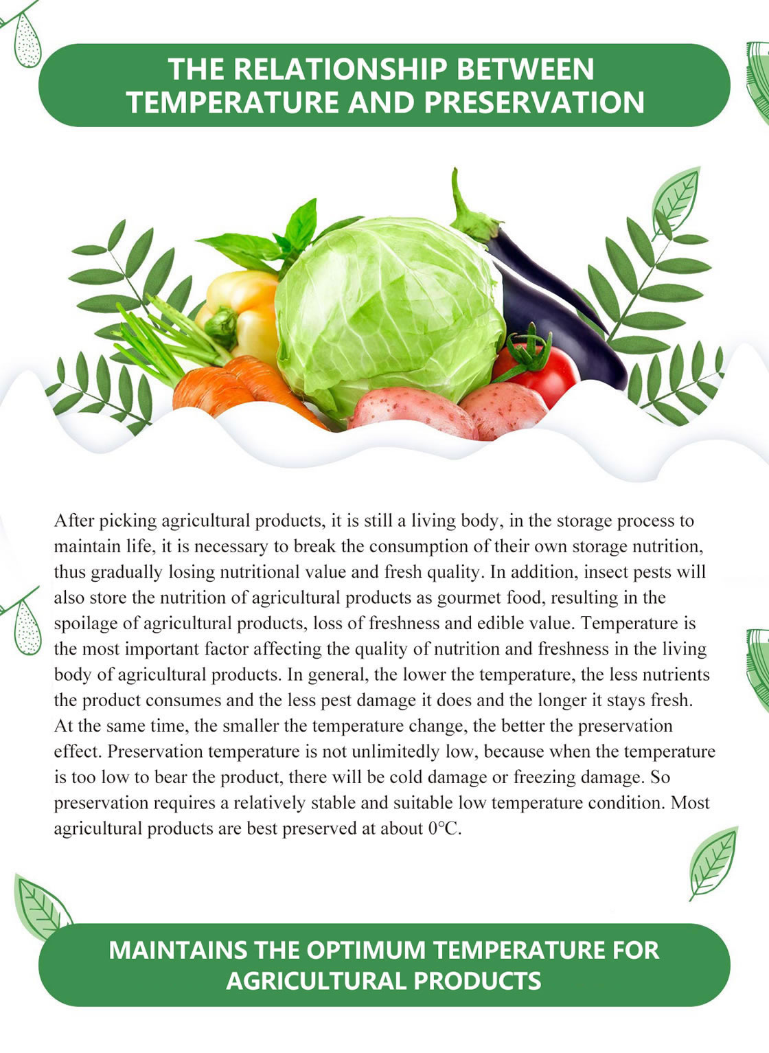 FRUIT AND VEGETABLE COLD ROOMS - Professional Freezer Room,Cold Room ...