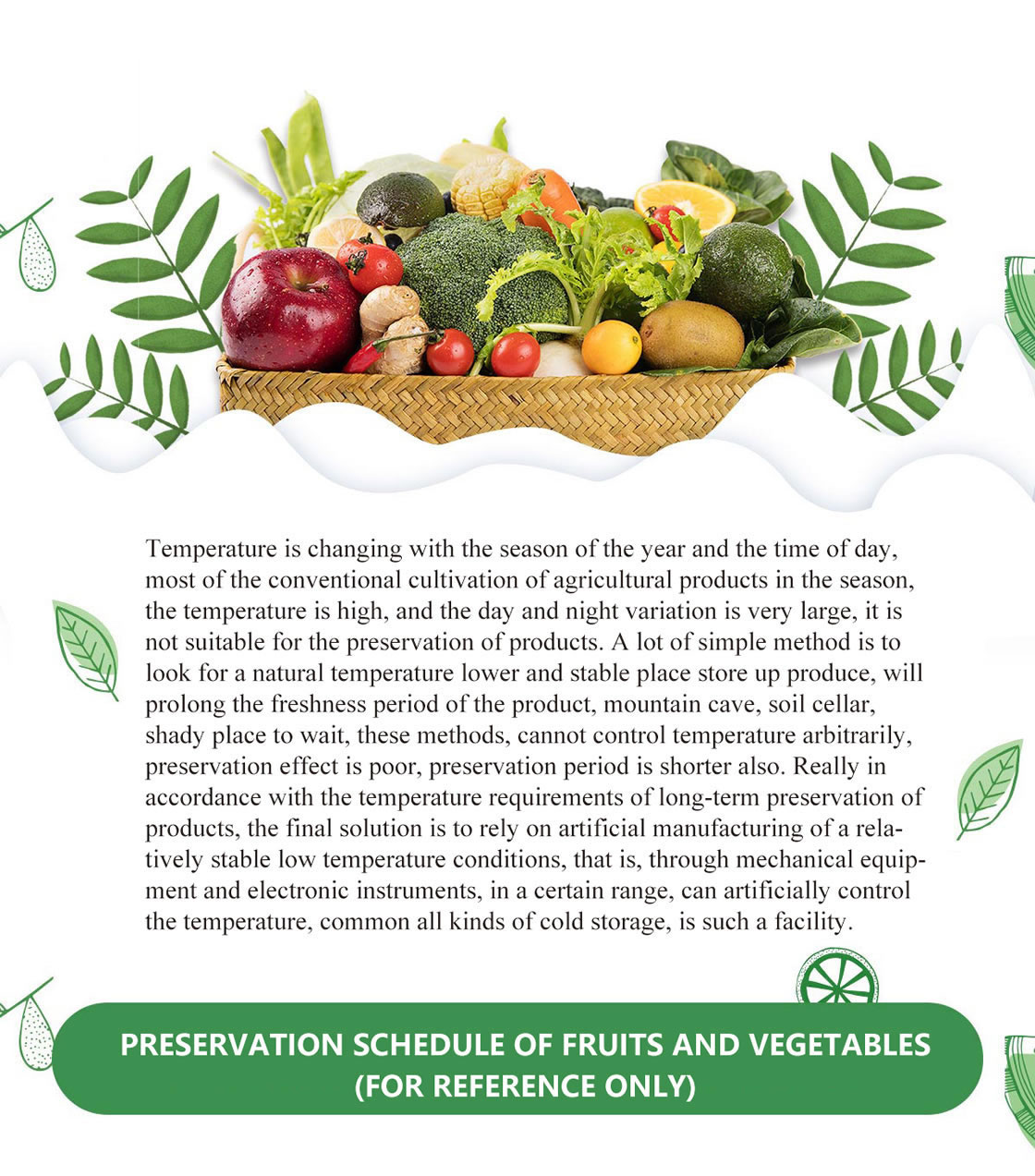 FRUIT AND VEGETABLE COLD ROOMS - Professional Freezer Room,Cold Room ...