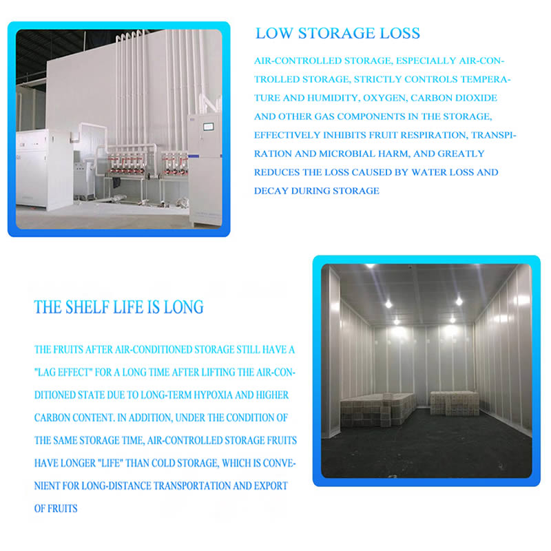 CONTROLLED ATMOSPHERE COLD ROOMS - Professional Freezer Room,Cold Room ...