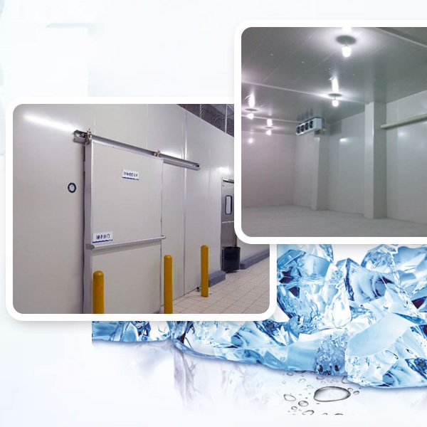 Seed Cold Storage Warehouse Excerpt - Professional Freezer Room,Cold ...