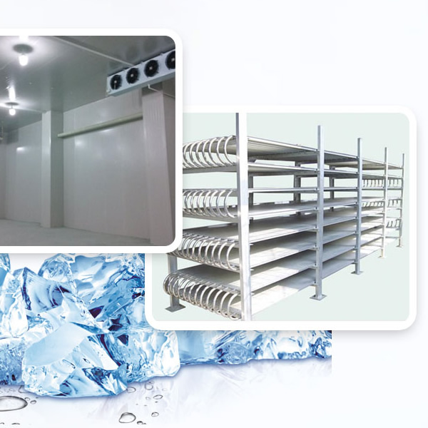 Seed Cold Storage Warehouse Excerpt - Professional Freezer Room,Cold ...