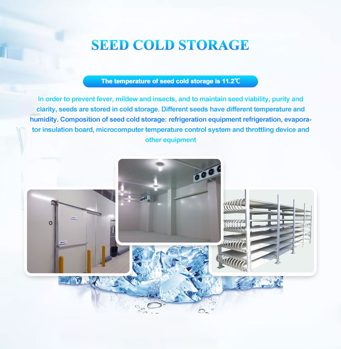 Seed Cold Storage Warehouse Excerpt - Professional Freezer Room,Cold ...