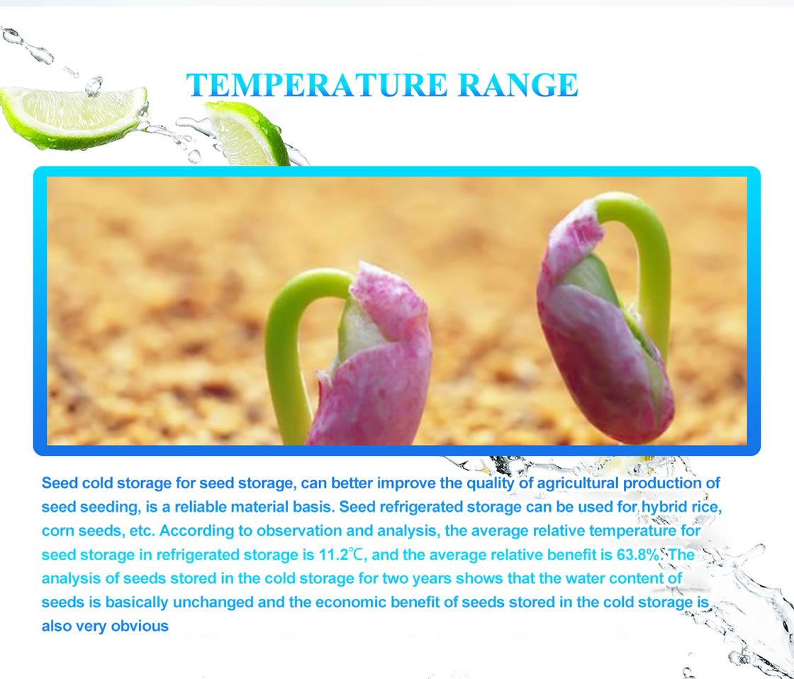 Seed Cold Storage Warehouse Excerpt - Professional Freezer Room,Cold ...