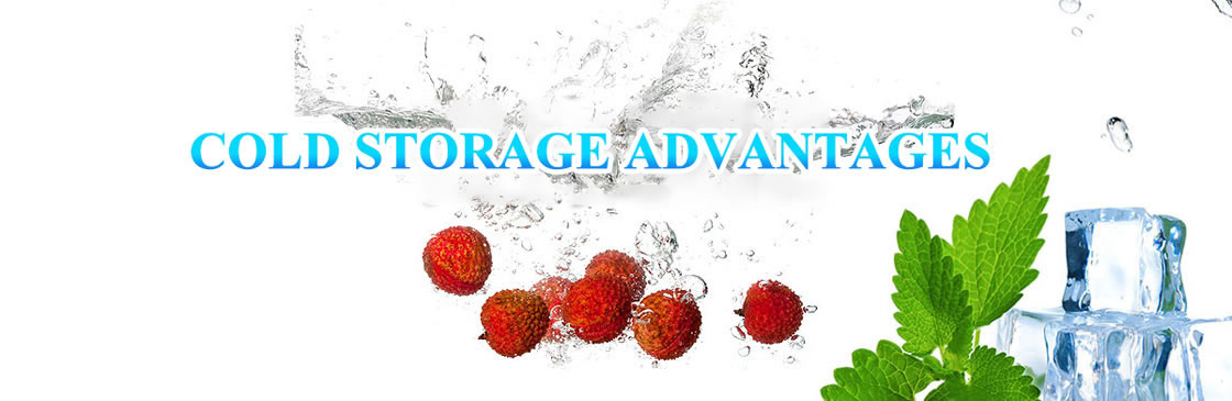 Seed Cold Storage Warehouse Excerpt - Professional Freezer Room,Cold ...