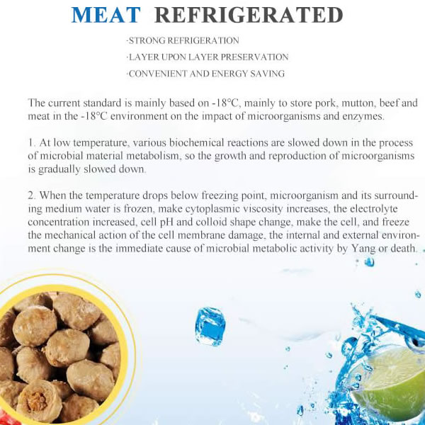 MEAT COLD STORAGE - Professional Freezer Room,Cold Room Manufacturer