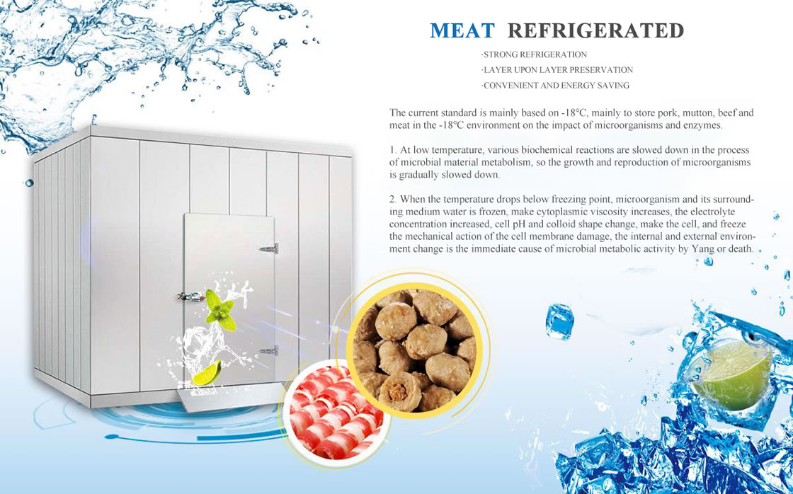 MEAT COLD STORAGE - Professional Freezer Room,Cold Room Manufacturer