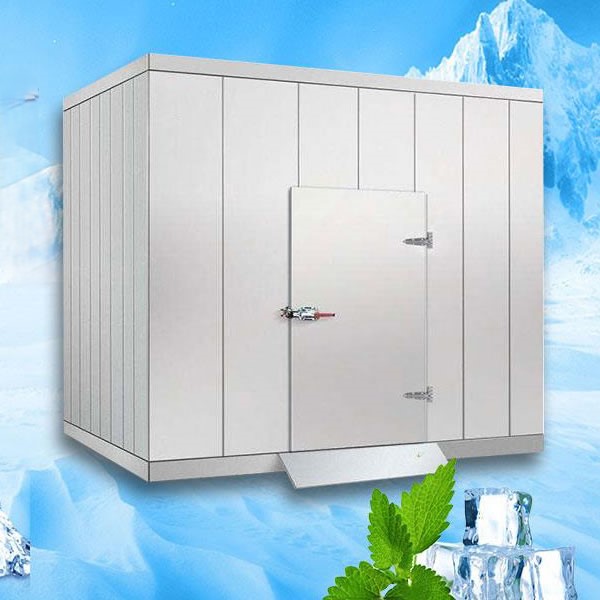 MEAT COLD STORAGE - Professional Freezer Room,Cold Room Manufacturer