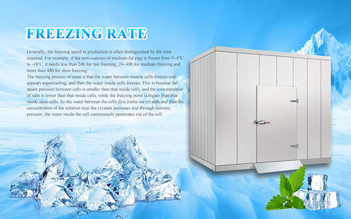 MEAT COLD STORAGE - Professional Freezer Room,Cold Room Manufacturer