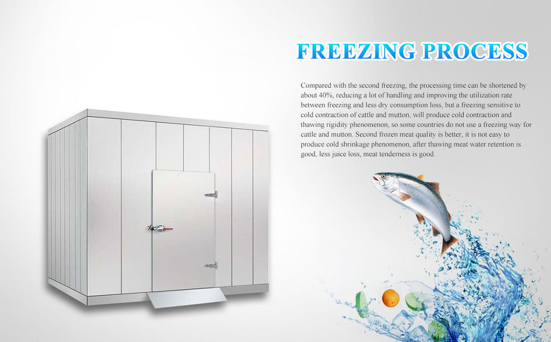 MEAT COLD STORAGE - Professional Freezer Room,Cold Room Manufacturer