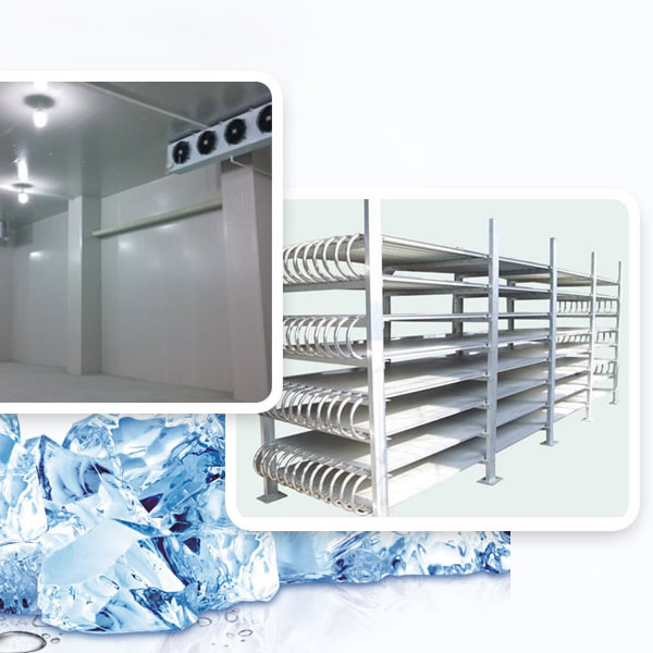 FROZEN FOOD STORAGES - Professional Freezer Room,Cold Room Manufacturer