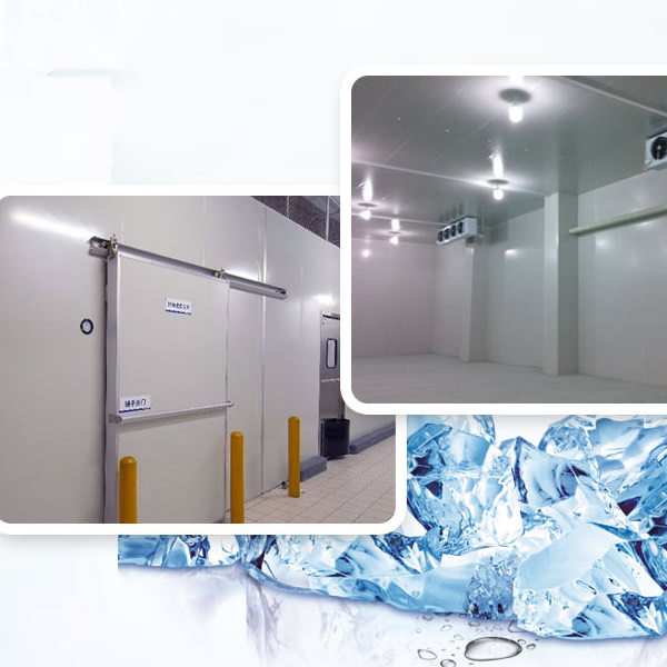 FROZEN FOOD STORAGES - Professional Freezer Room,Cold Room Manufacturer