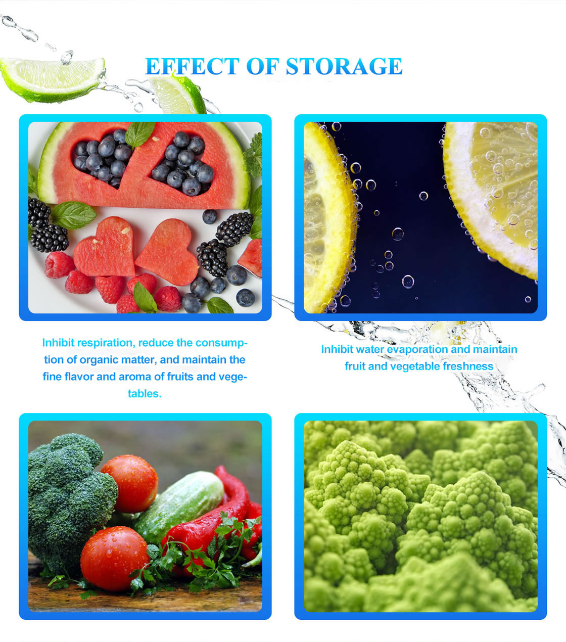 FROZEN FOOD STORAGES - Professional Freezer Room,Cold Room Manufacturer