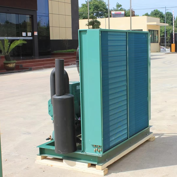 Coldroom condensing unit & doors factory