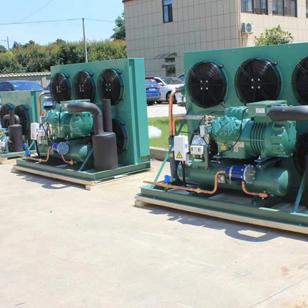 Coldroom condensing unit & doors factory